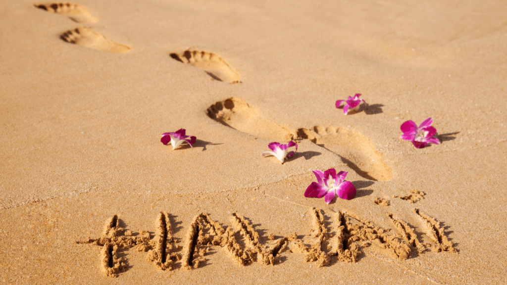 「ハワイの花の首飾り」で知る！アロハスピリットとレイの文化 | アロハ旅ナビ